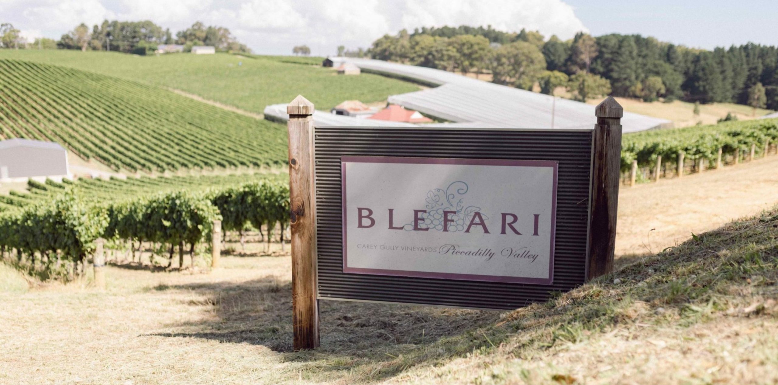 Blefari Vineyard Estates – South Australian Cold Climate Wines